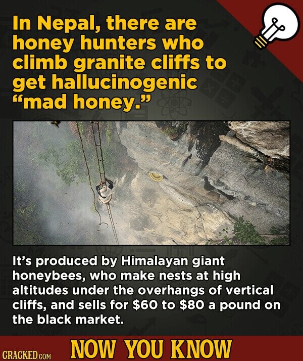 32 Random Facts to Satisfy Your Lust for Knowledge