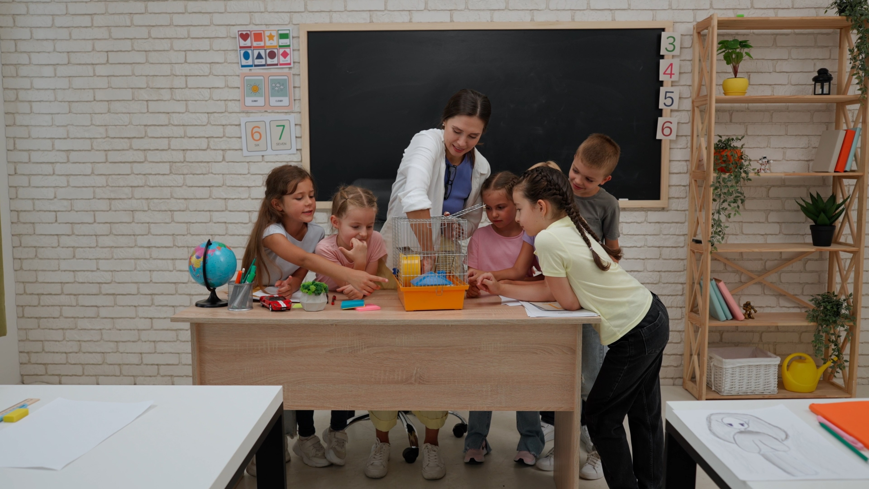 Commentary: Thinking of buying animals for the classroom? Here’s why it ...