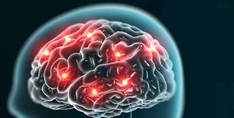Memory Isn’t Just in Your Brain—Your Kidneys and Other Cells Can ...