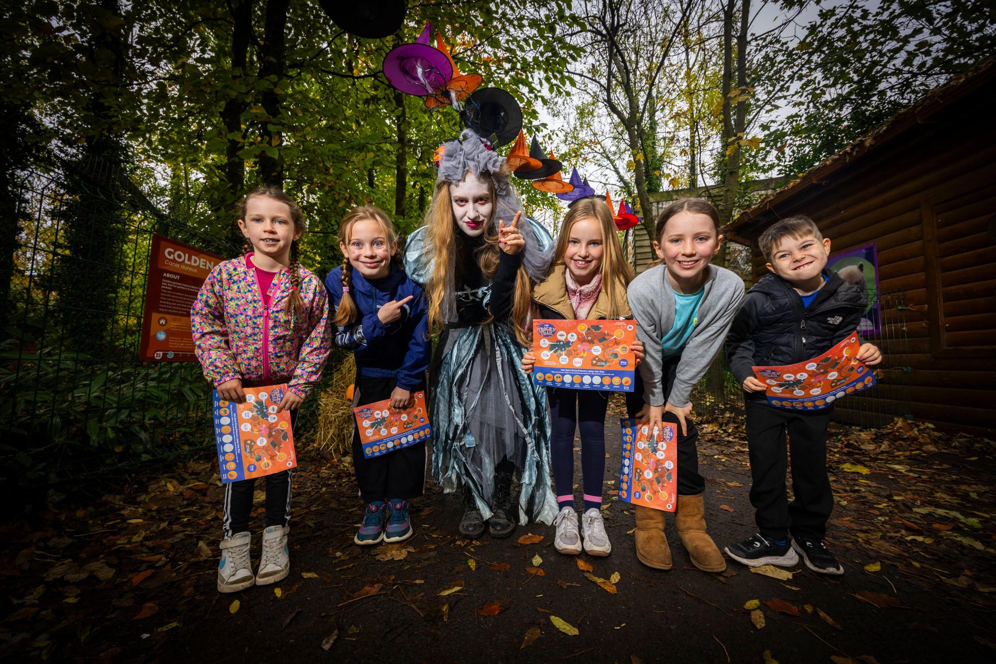 Emerald Park’s Spooktacular ‘Tricky Trail’ family-friendly treasure ...