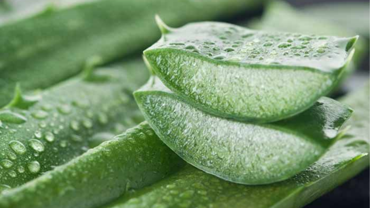 5 DIY face hacks with the natural trinity: Aloe vera, honey, and curd