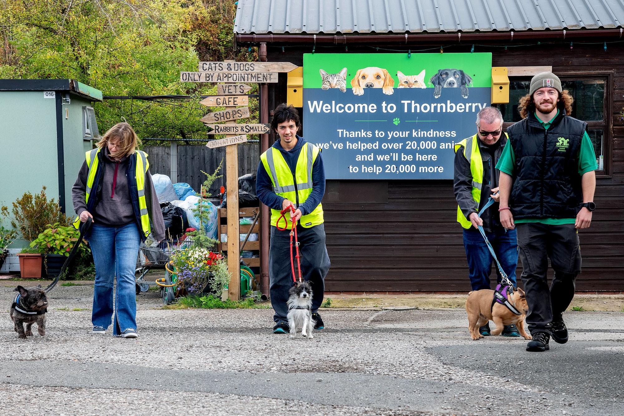 Chesterfield team go walkies with animal rescue charity