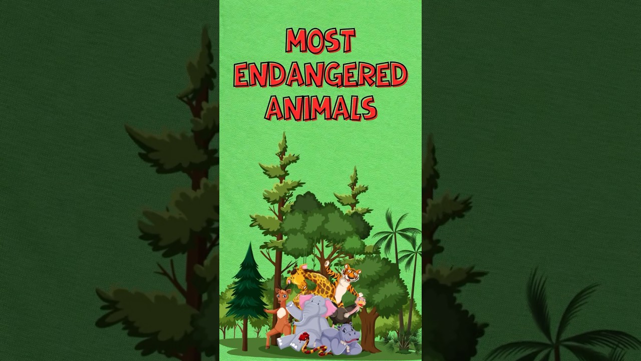 Animals Facing Extinction