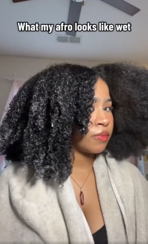 What My Afro Looks Like Wet: Natural Hair Reveal