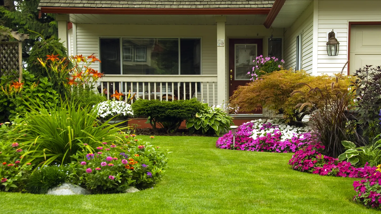 Think twice before planting these 10 common toxic flowers and plants