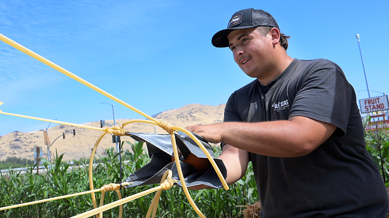 From picking apples to pumpkins, here are 7 Fresno County farms ...