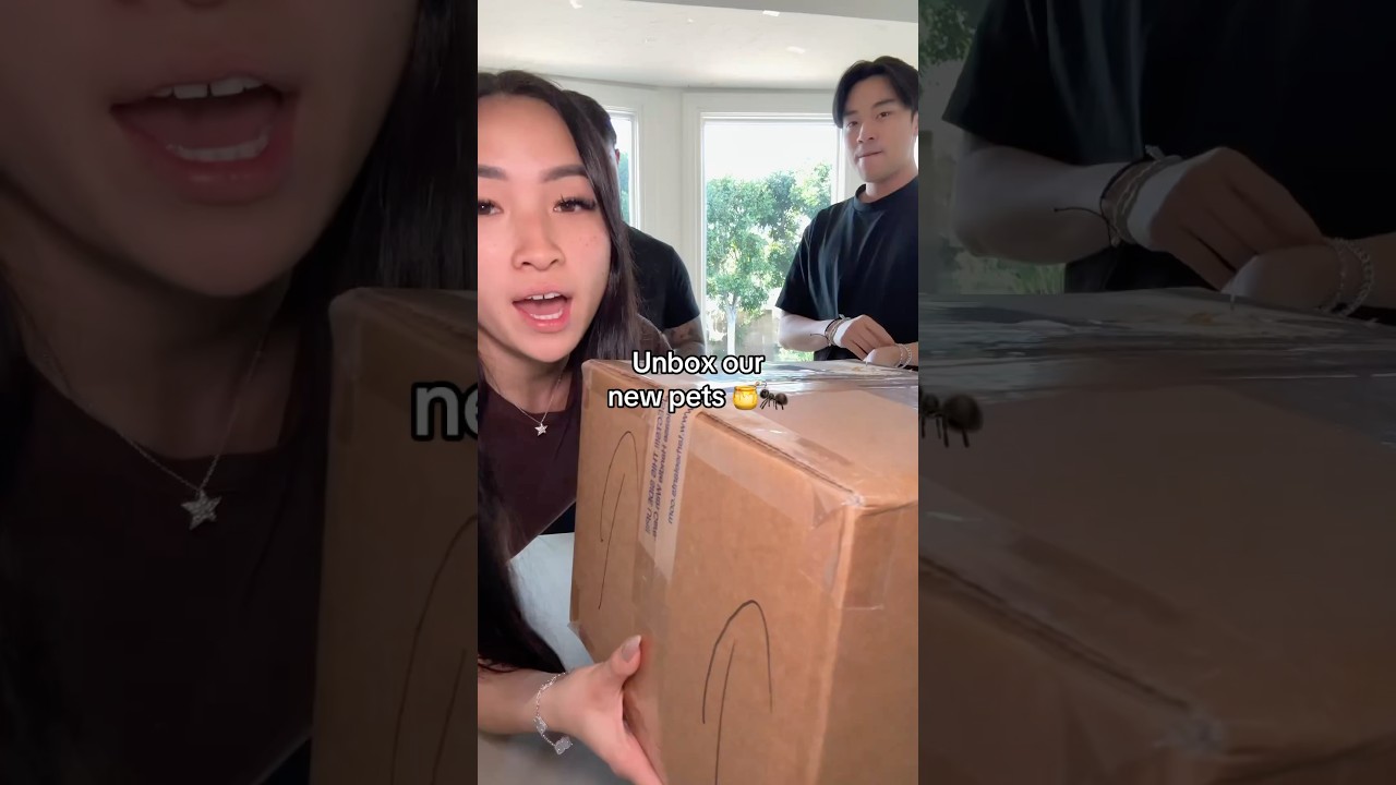 Watch us unbox brand-new ants and build them a tiny home