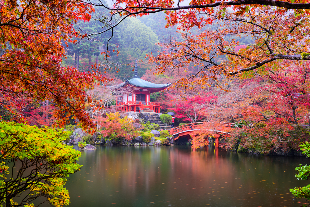 Things to do in Kyoto after dark
