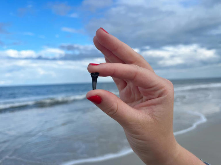 Man Makes Stunning Discovery in Florida River — A Hidden Goldmine of ...