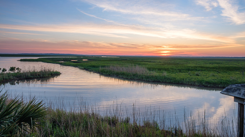 This Outrageously Gorgeous Louisiana River Trail Through Peaceful Bayou ...
