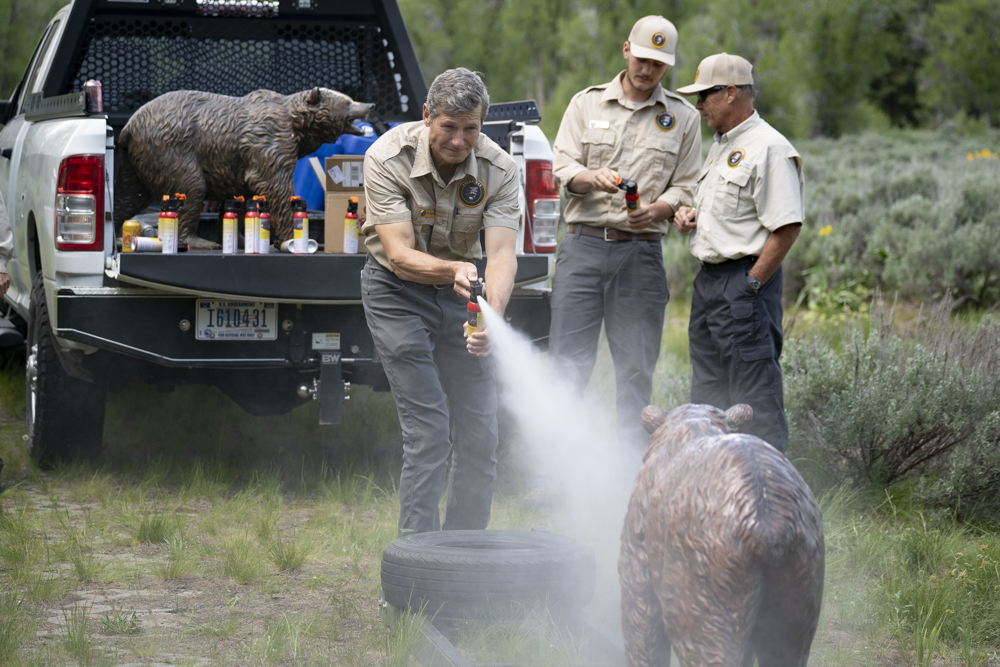 12 Must Have Essentials for Hiking and Camping to Guard Against Animal ...