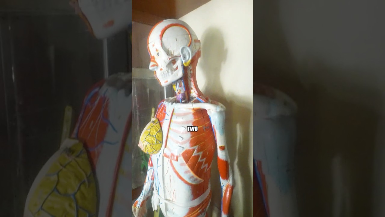 Uncovering Japan's surprising thrift store secrets