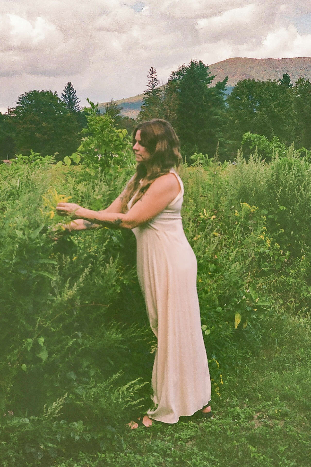 Golden-hued silk structure brings light and myth to Catskills