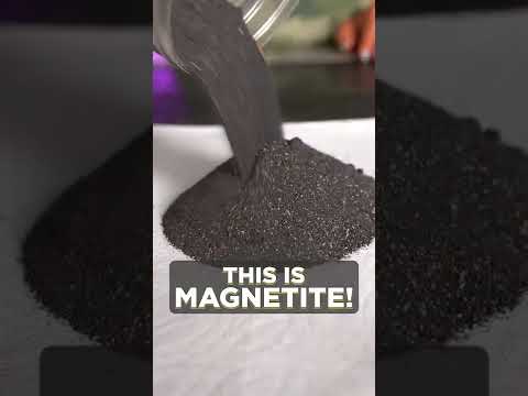 Discover the unusual things that may be hiding in backyards