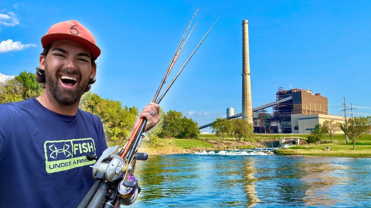 Power plant lake surprise unleashes massive fish frenzy