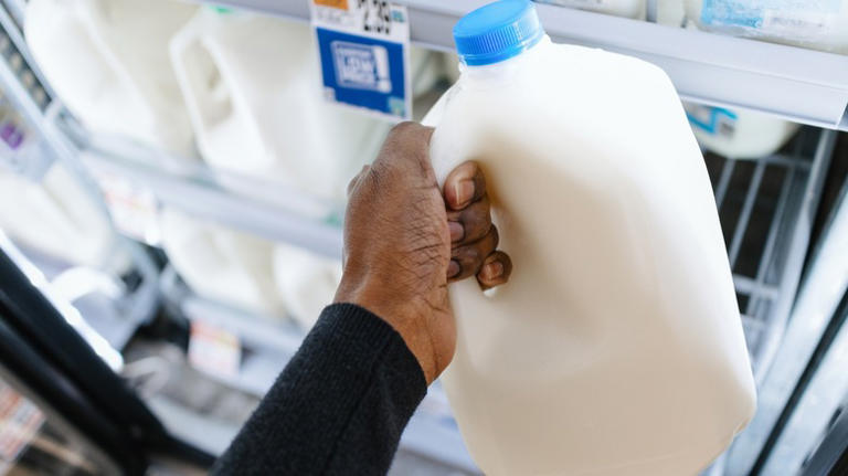 Why Your Fish May Be Better Off Soaking In A Bath Of Milk
