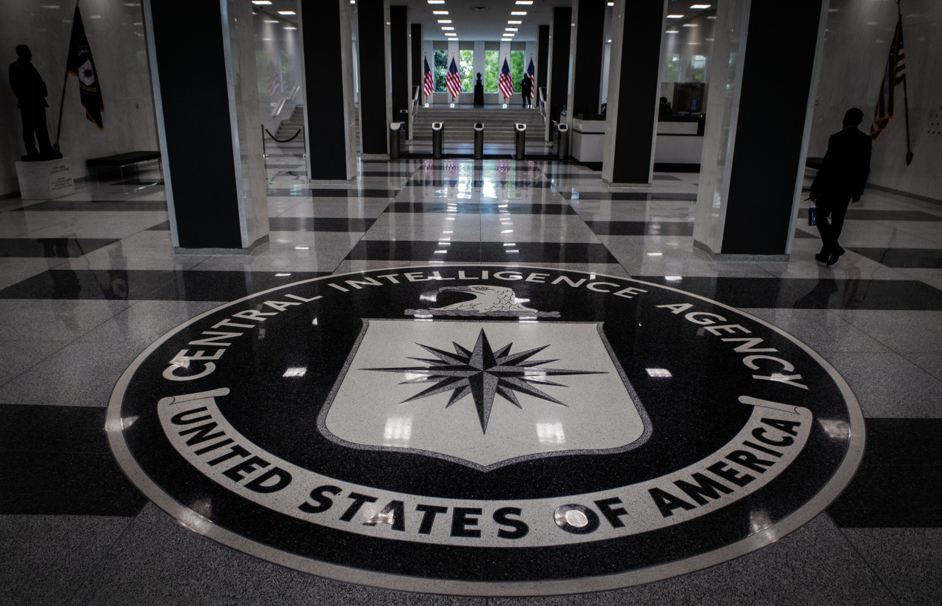 Sinister declassified CIA operations