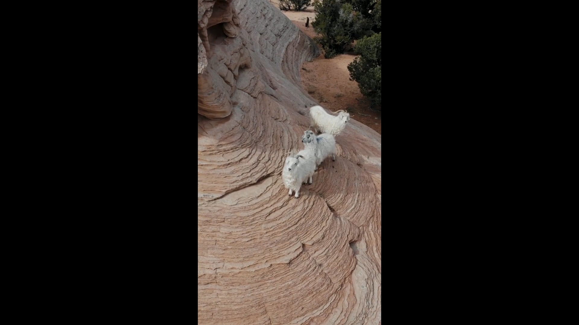 Antelope Canyon's Natural Art: Drone Reveals Its Awe-Inspiring Shapes.