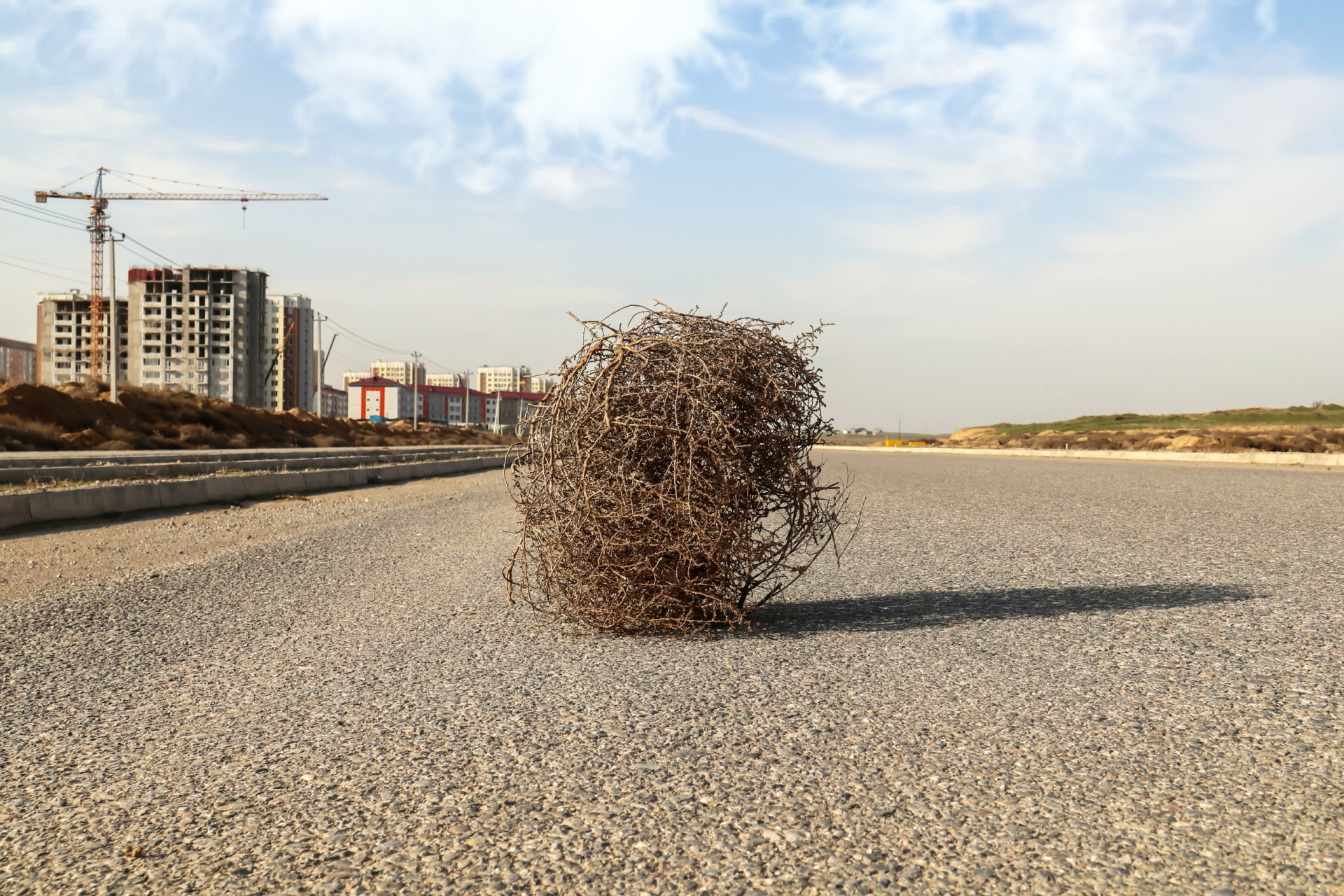 Are these the most boring states in the US?
