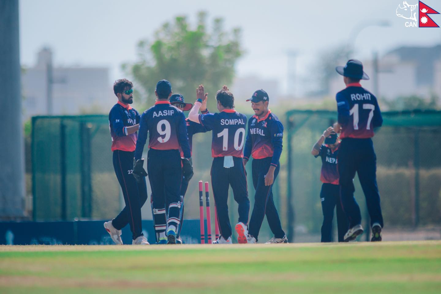 Japan post 132-run target against Nepal