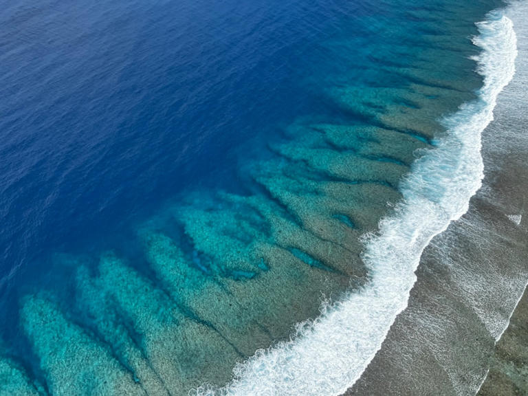 Why The Ocean Appears Blue - Described By Marine Scientists