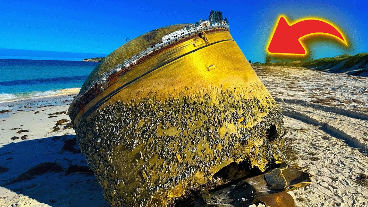 Object Washed Up On Beach, Then Family Learned What It Really Was