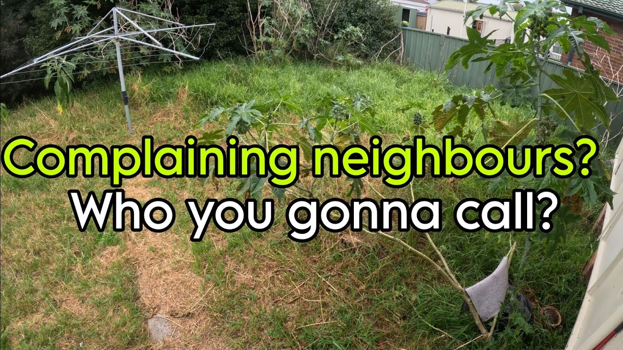 The Wild Yard Clean-Up That Changed Everything