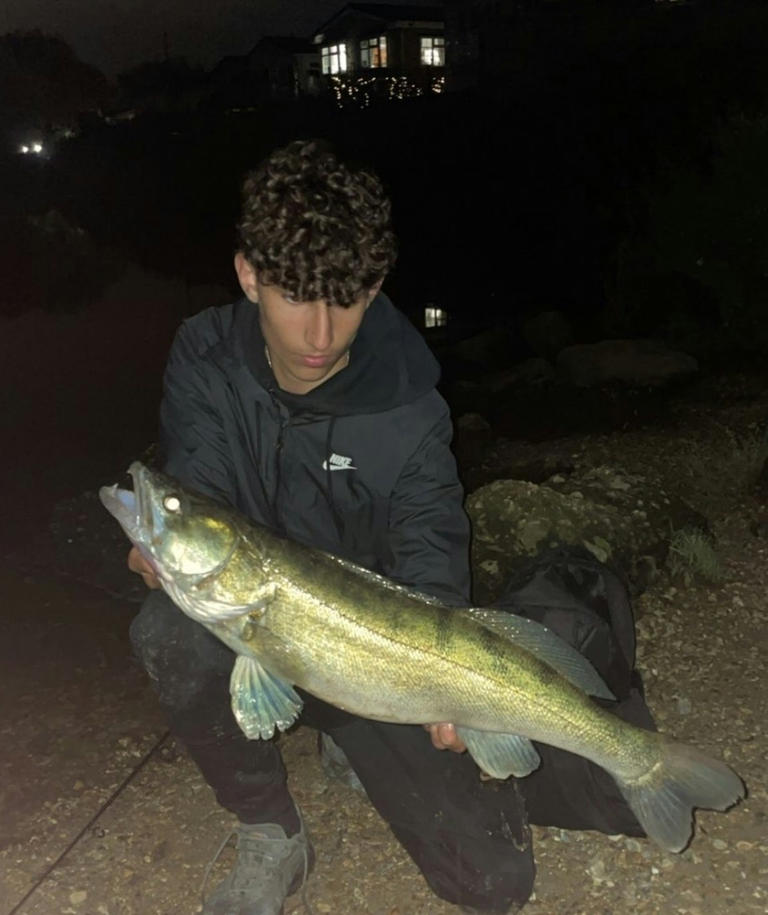 Vampire Fish caught in UK river for the first time