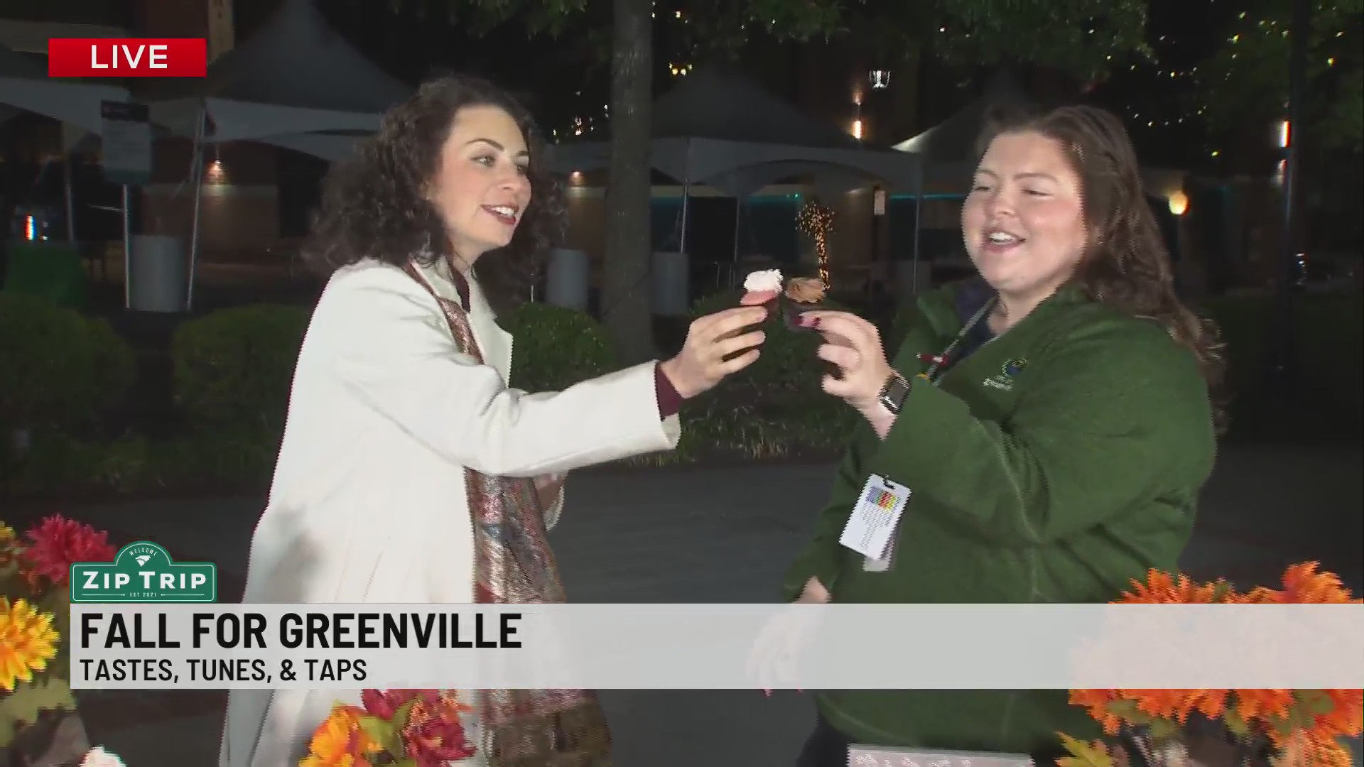 Fall for Greenville Zip Trip: City of Greenville