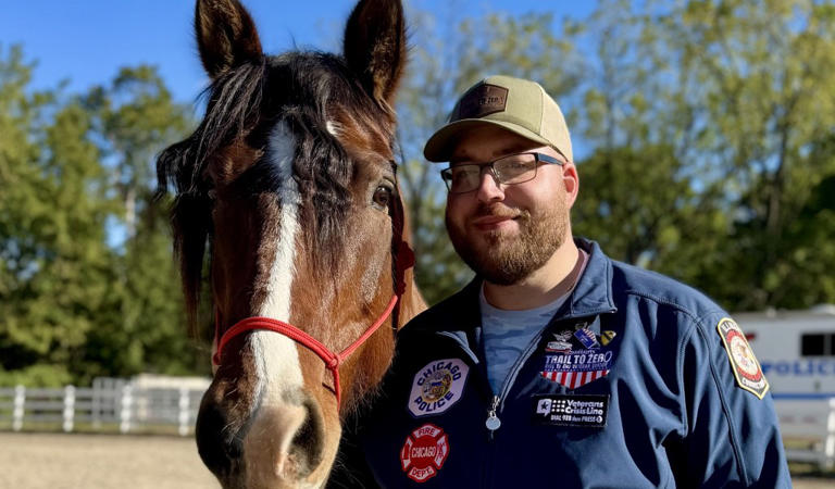Veterans to ride 20 miles on horseback through NYC for suicide ...