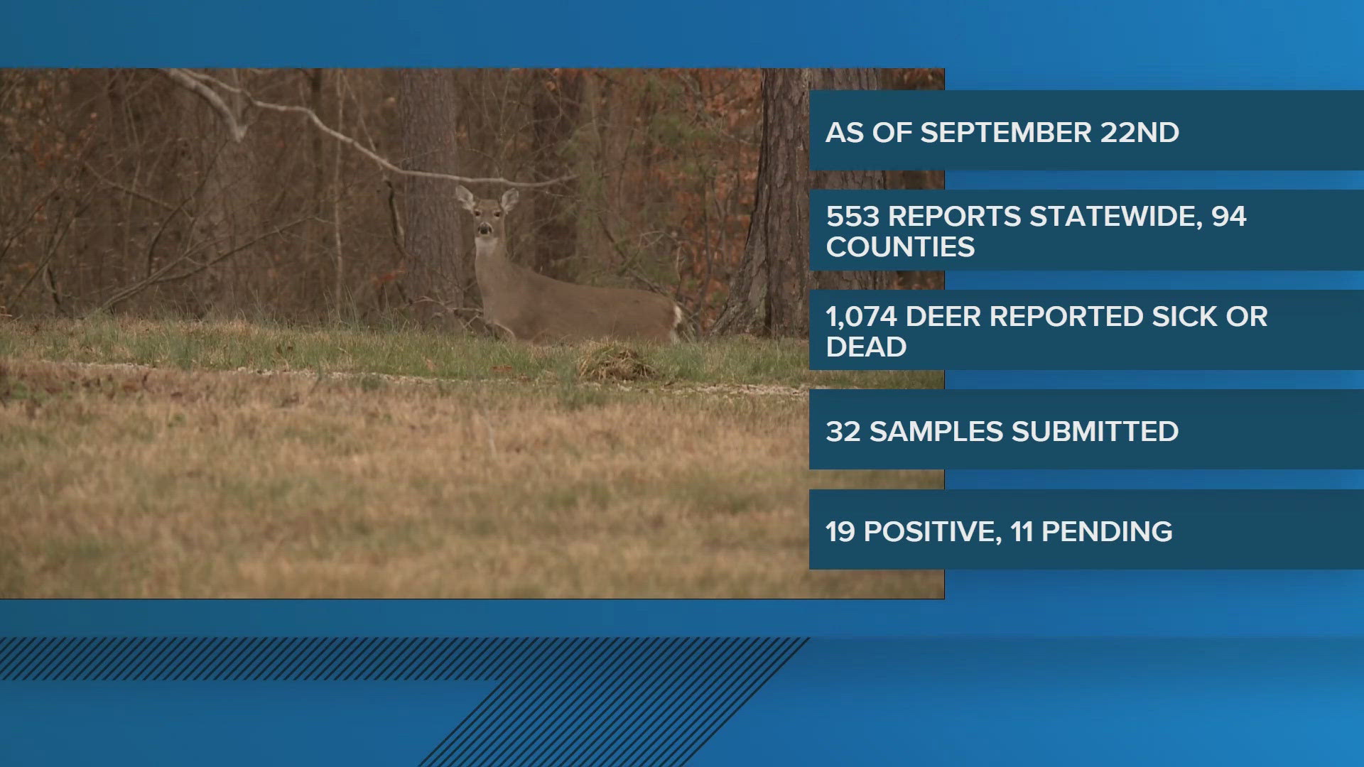 Viral illness killing deer spreads across 94 Kentucky counties