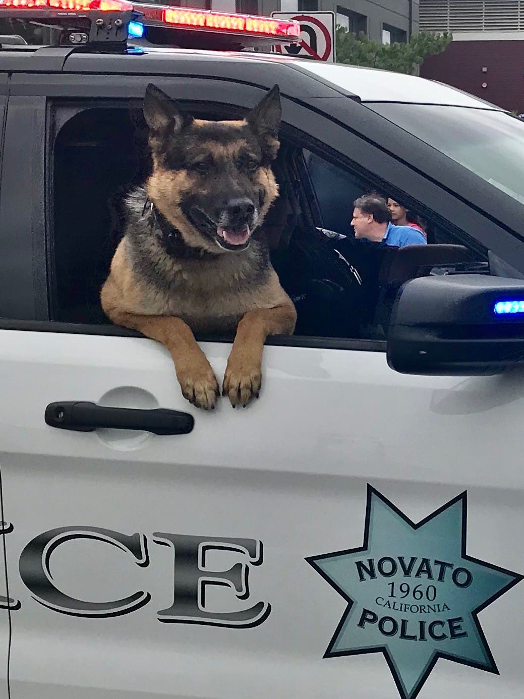 Beloved K9 Dies In Novato, Police Announce
