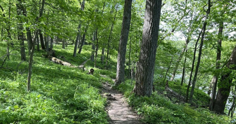 The Iconic Trail in Iowa Everyone Should Hike Once in Their Lifetime