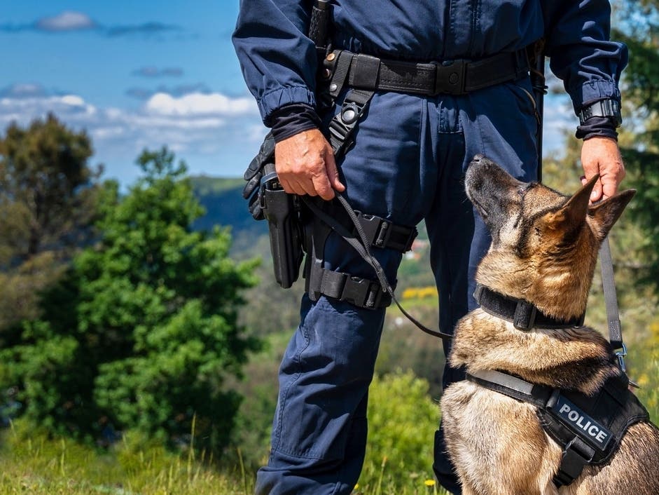 Beloved K9 Dies In Novato, Police Announce
