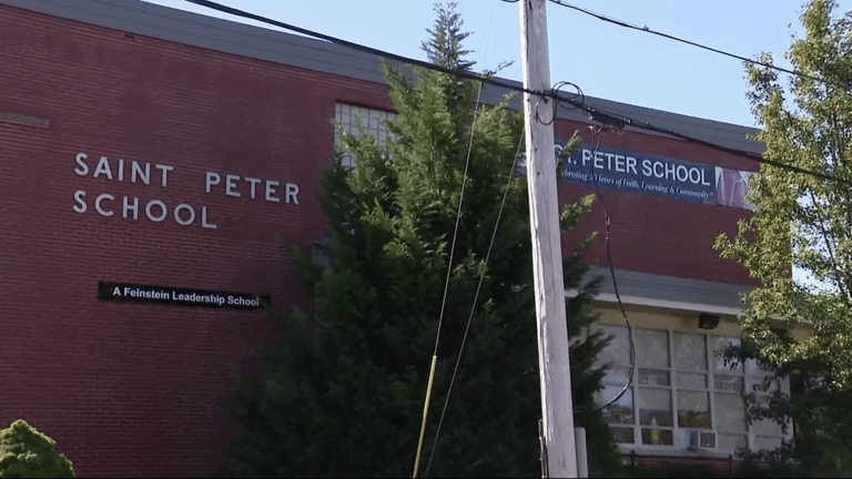 St. Peter School principal placed on administrative leave after ...