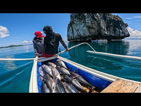 Endless tuna found on this hidden island!
