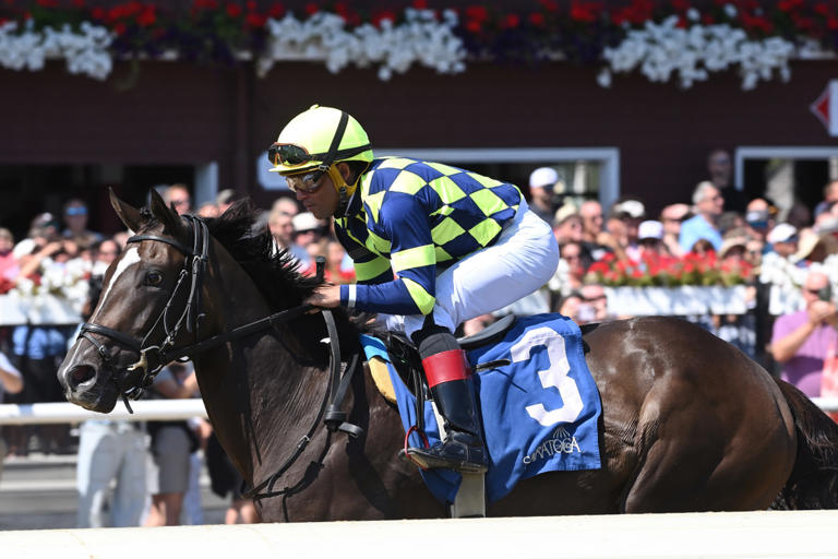 Breeders' Cup Contenders Iron Orchard, Haulin Ice Offered In Fasig ...