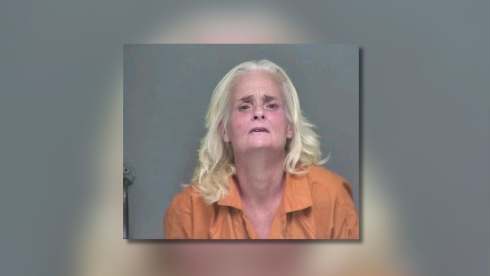 Woman arrested after two dogs attack, kill 86-year-old in south Georgia