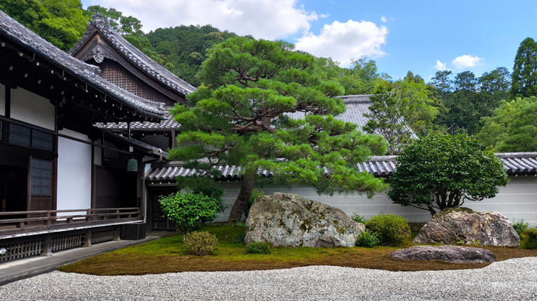 Add Big Curb Appeal To Even The Smallest Of Yards With One Simple Tree