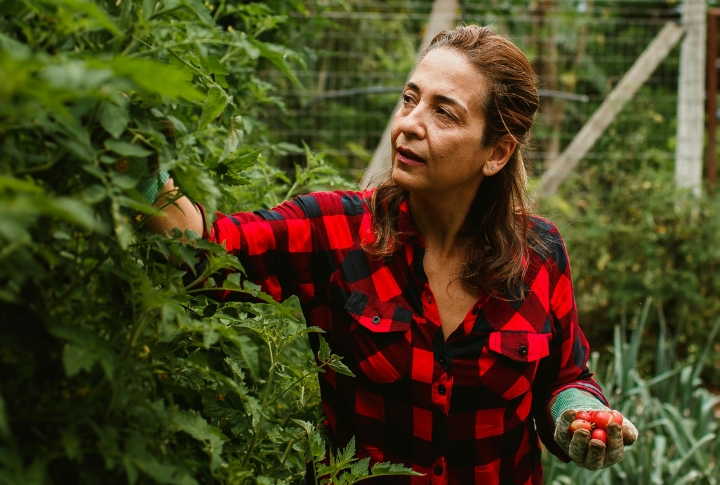 10 Vertical Garden Crops That Let You Grow More In Less Space