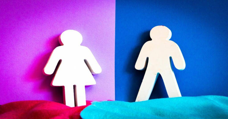 What Does “Cisgender” Really Mean? A Simple Guide to Gender, Sexuality ...