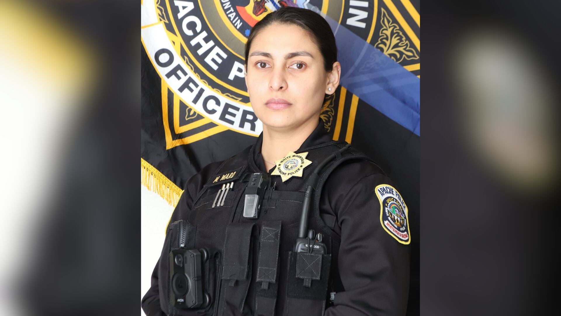 Eastern Arizona officer pleads not guilty to shoplifting, fraud charges