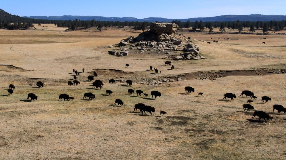 Nature rebounds on Ted Turner’s reserve