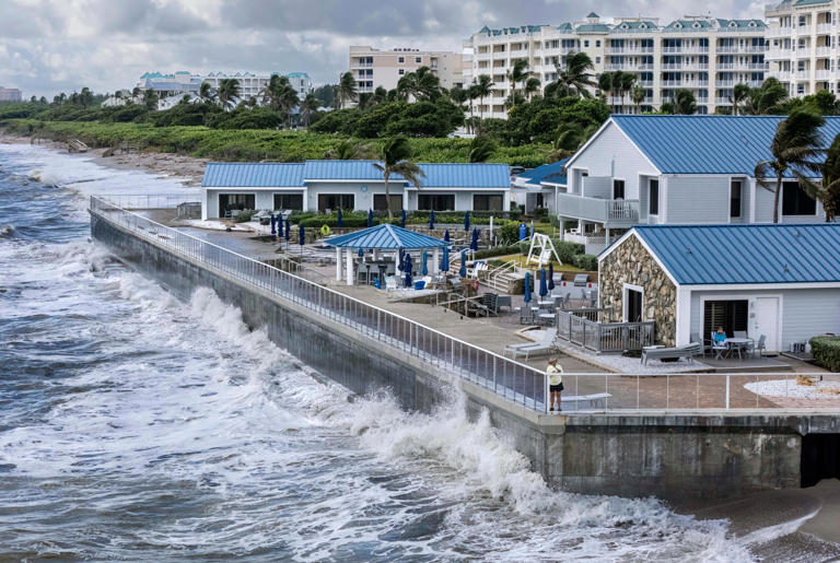 'Only in Florida': Video captures shark swimming in flooded parking lot ...