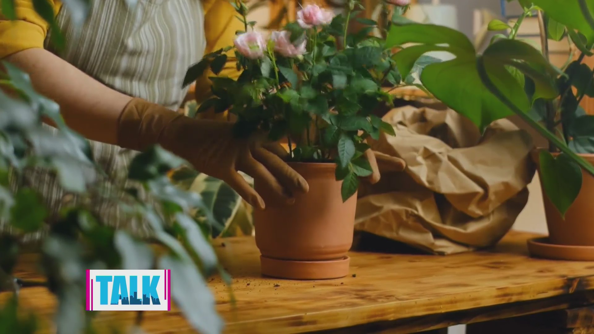 Millennials are embracing plant parenthood