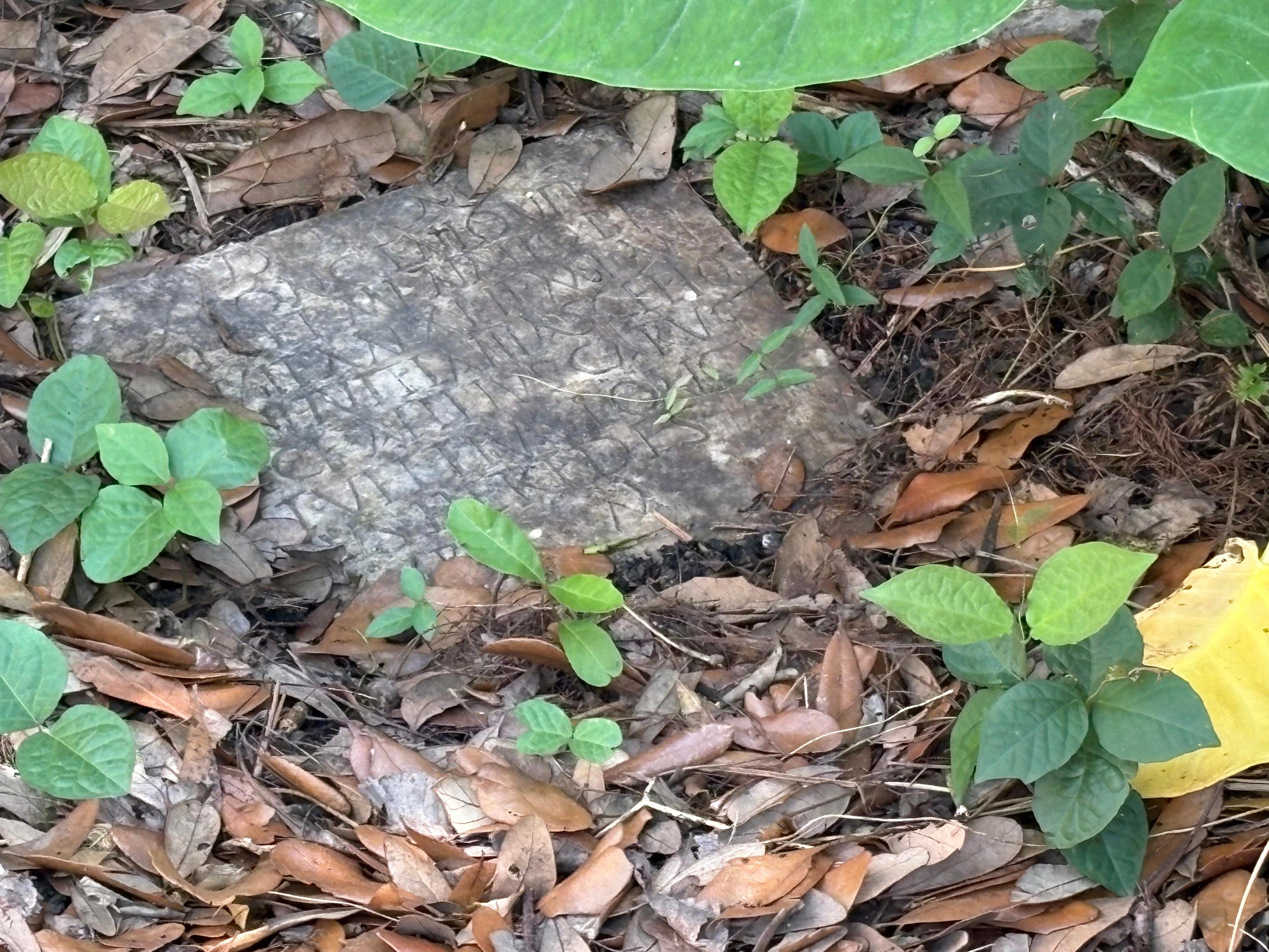 Old marble tablet found in backyard turns out to be Roman gravestone