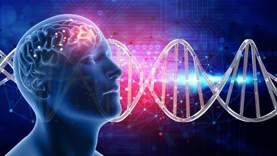 Neurosurgeon with 33 years of experience explains why ‘your brain is ...