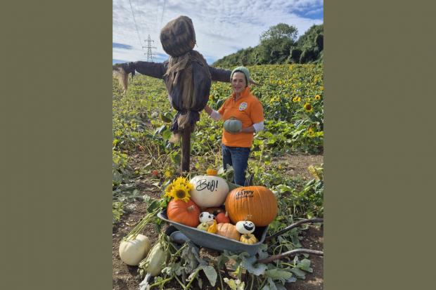 Pumpkin picking returns to Sussex farms ahead of Halloween fun