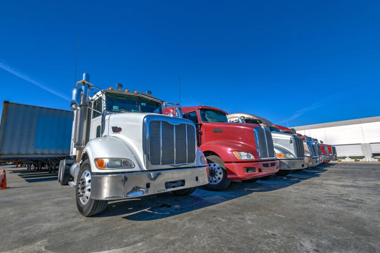 Illegal migrant trucker with ‘No Name Given’ on NY driver’s license ID ...