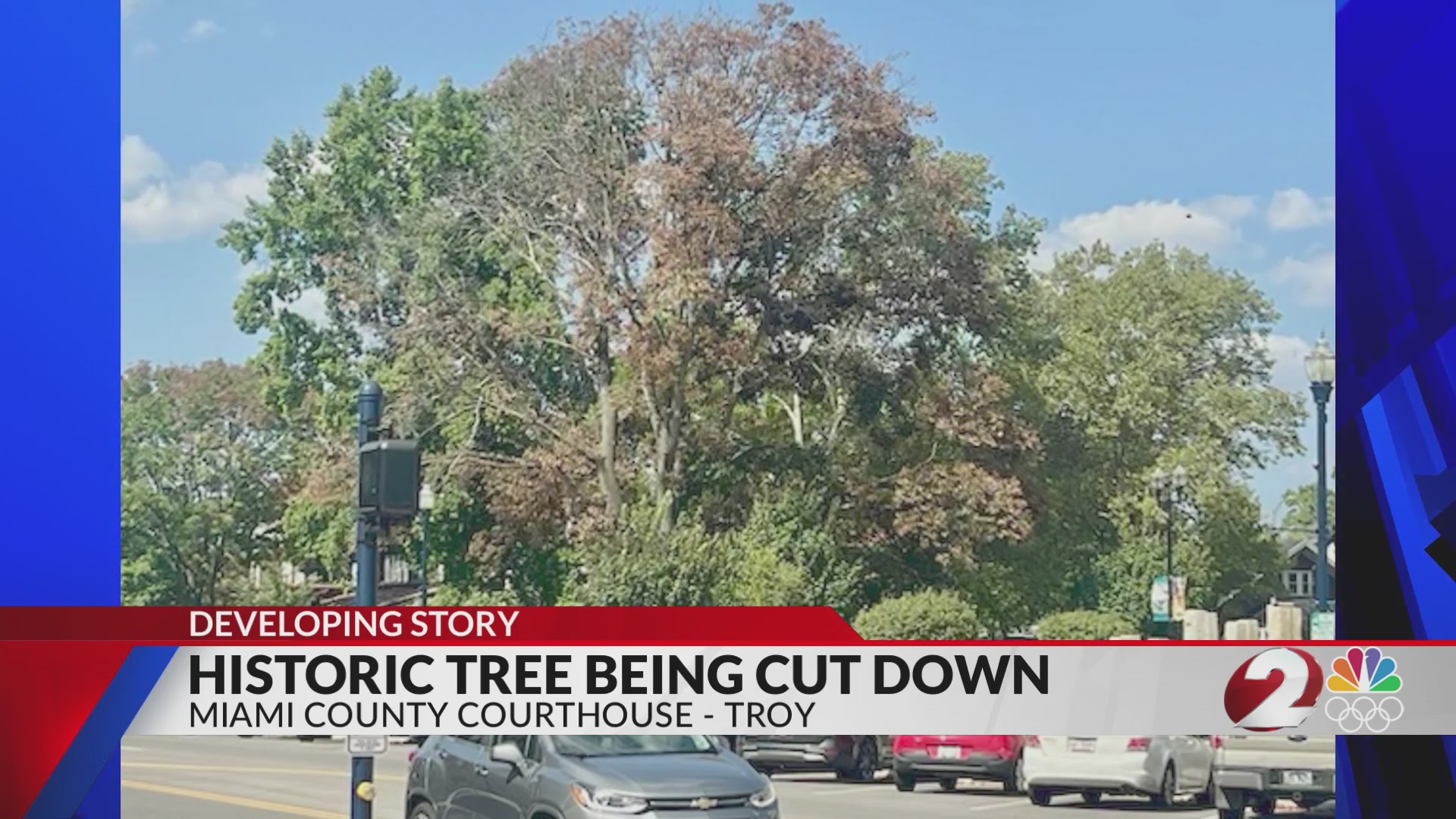 Historic tree being cut down at Miami County Courthouse